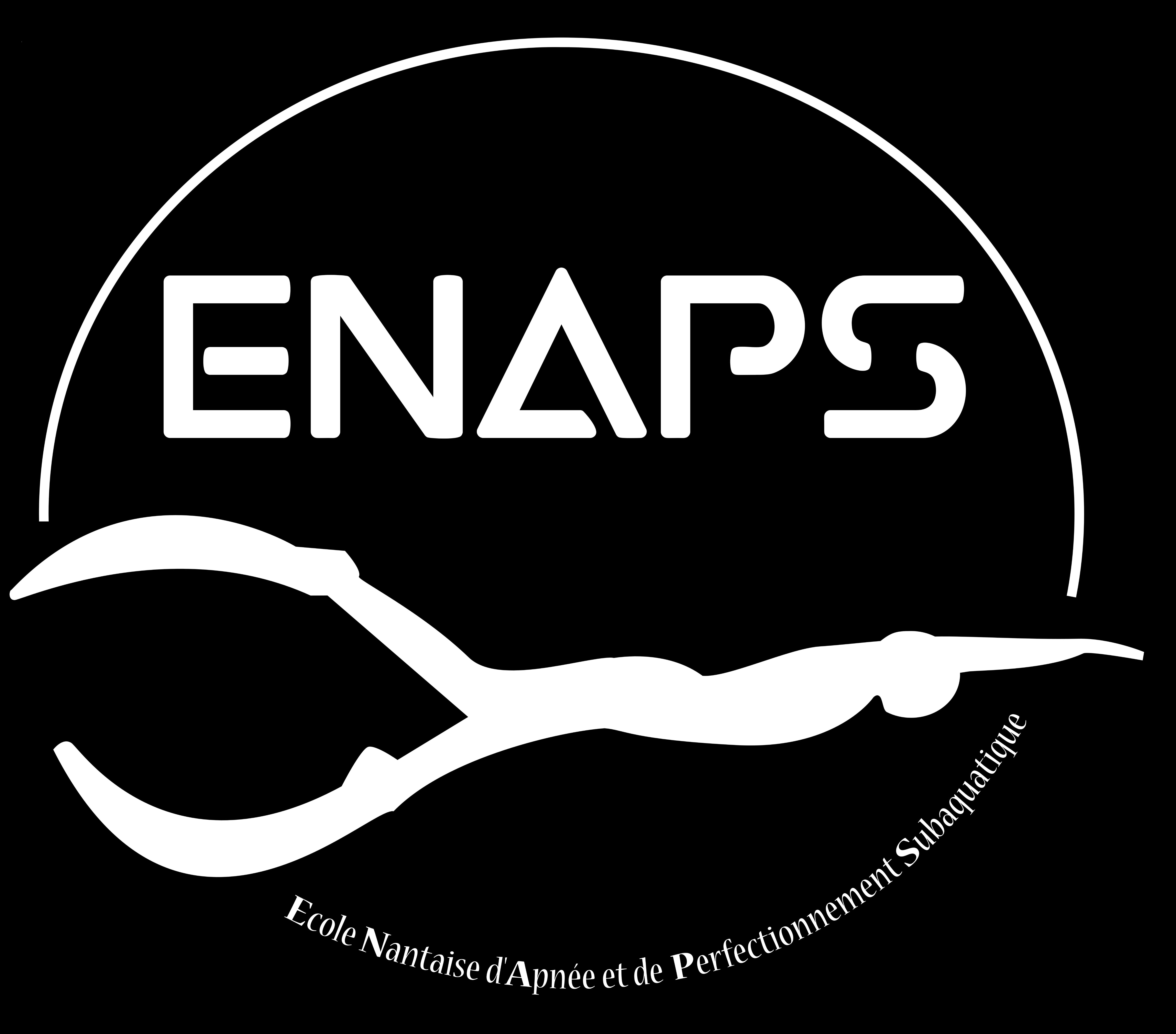 Apnée Dynamique Horizontale – Bienvenue sur le site de l'ENAPS